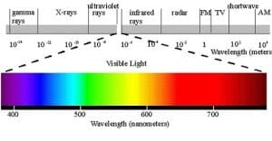 How does the color spectrum affect the growing of a cannabis plant ...
