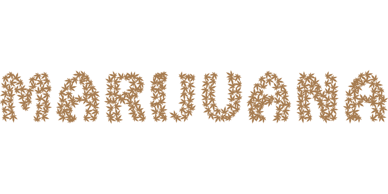 How To Roll A Joint Complete Guide Growyour420